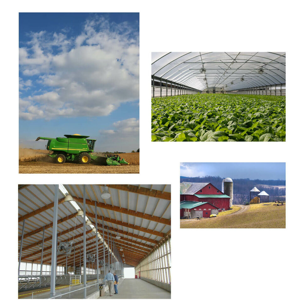 Foil Insulation For Agricultural Buildings | Low-E Insulation