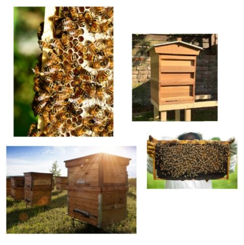 Low-E Insulation – Breathable Beehive Insulation Wraps